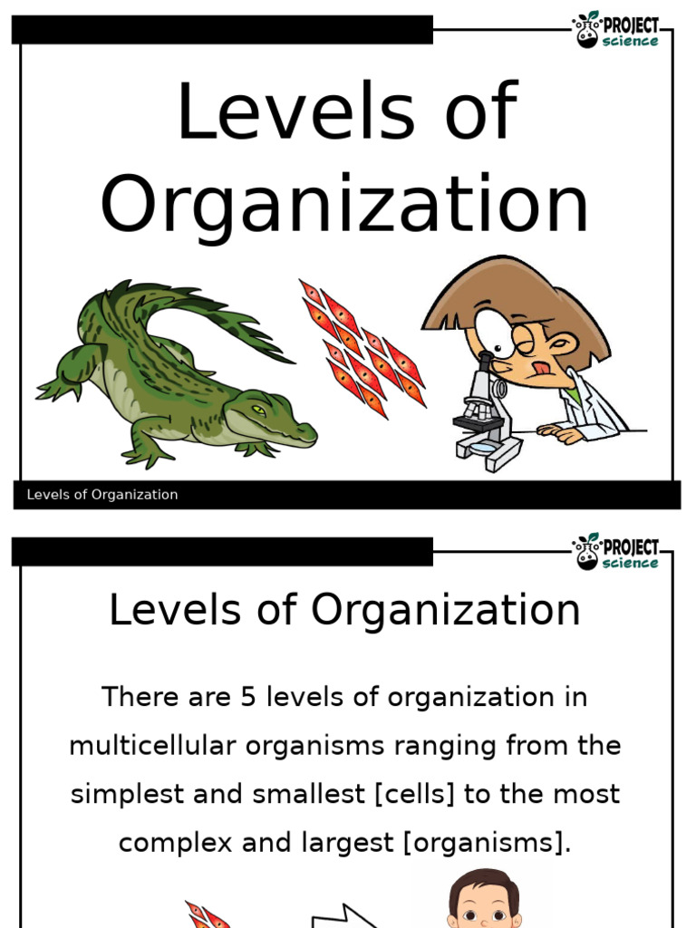 Five Levels of Biological Organization | PDF