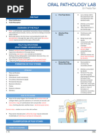 Understanding Pulp Canal Obliteration | PDF | Dental Anatomy ...