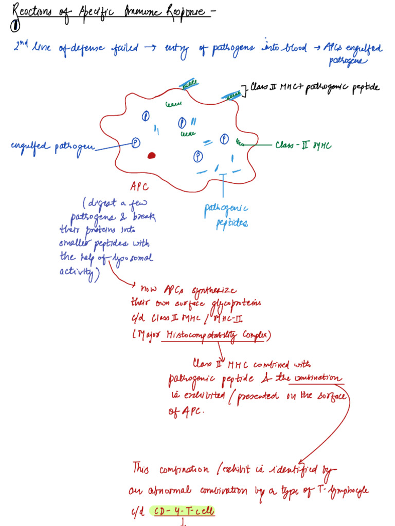 Reactions of Acquired Immunity. | PDF