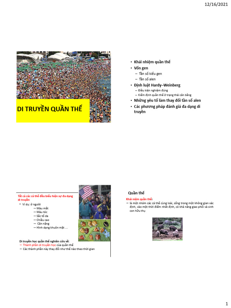 Tuan 15. Di Truyen Quan The | PDF