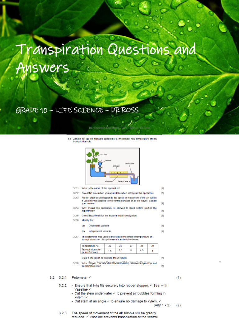 Transpiration Questions | PDF
