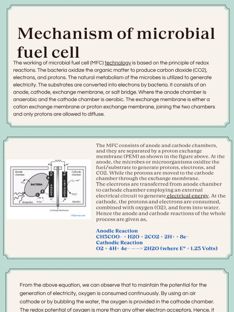 Mfc Mechanism | PDF