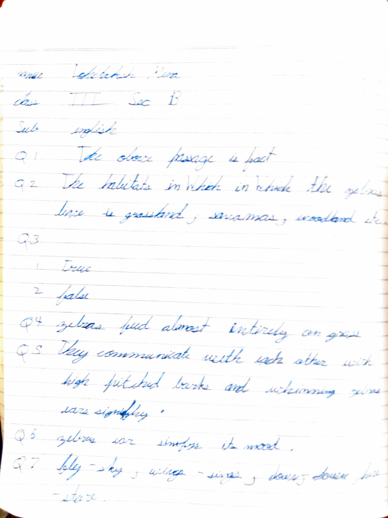 English Term II Final Term II Part I | PDF