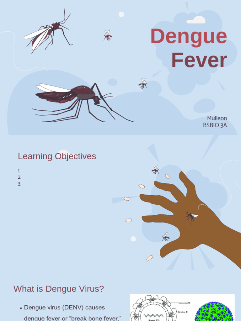 Understanding Dengue Fever: Causes & Symptoms | PDF | Clinical Medicine ...