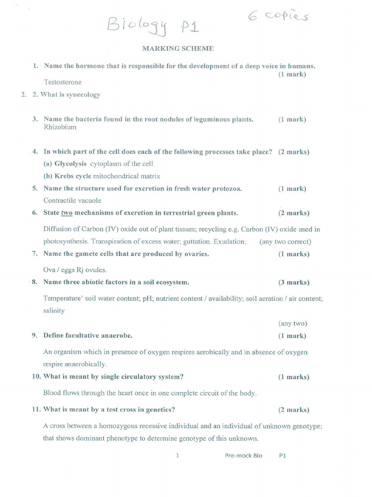 Bio P1 - MS | PDF