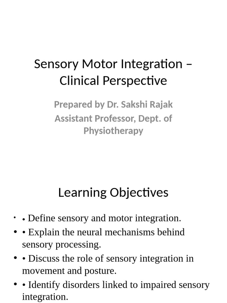 Sensory Motor Integration Polished BPT v2 | PDF | Cerebellum | Central ...