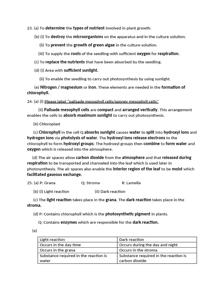 Chapter 6 Exercises - Plant | PDF | Photosynthesis | Leaf