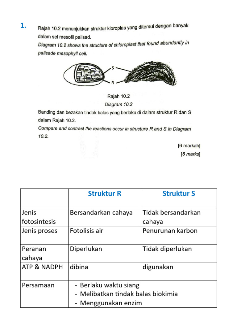 7 SOALAN ESEI RAMALAN BIOLOGI Part 4 | PDF