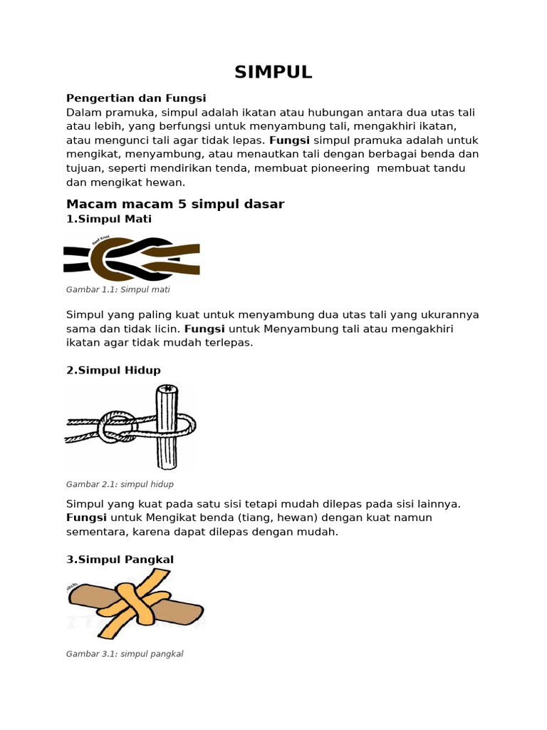 5 Simpul Dasar dalam Pramuka | PDF