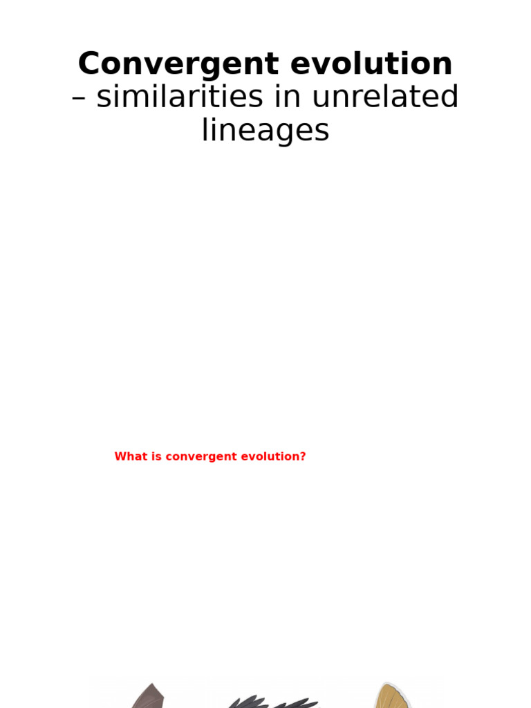 Convergent Evolution | PDF