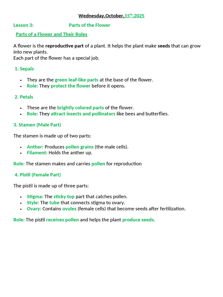 Parts of the Plant and Their Roles 5th Grade Lesson 3 A | PDF