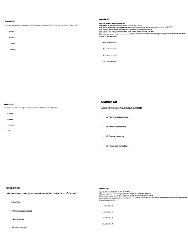 DDV | PDF