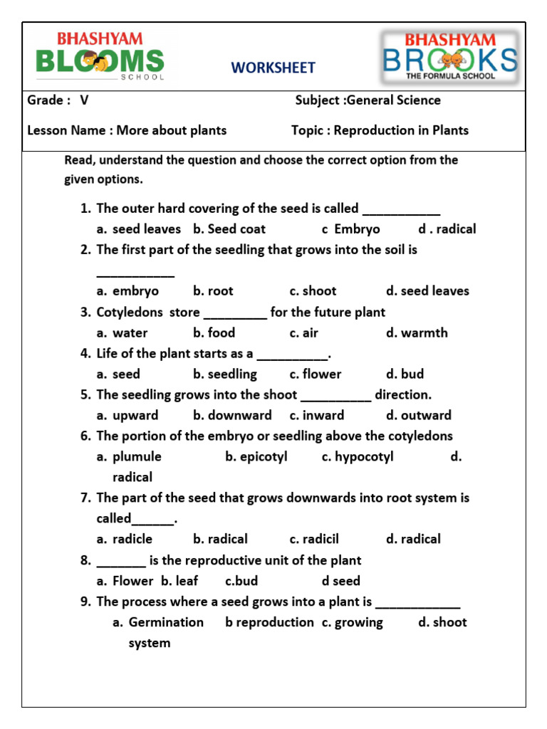I - Topic 1 - WS | PDF