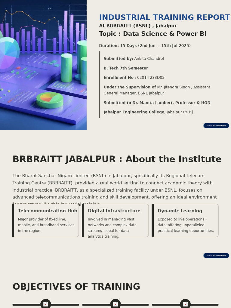 Industrial Training Report | PDF | Databases | Data