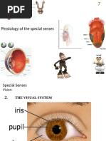 Common Ophthalmic Terminology Glossary | PDF | Eye | Human Eye