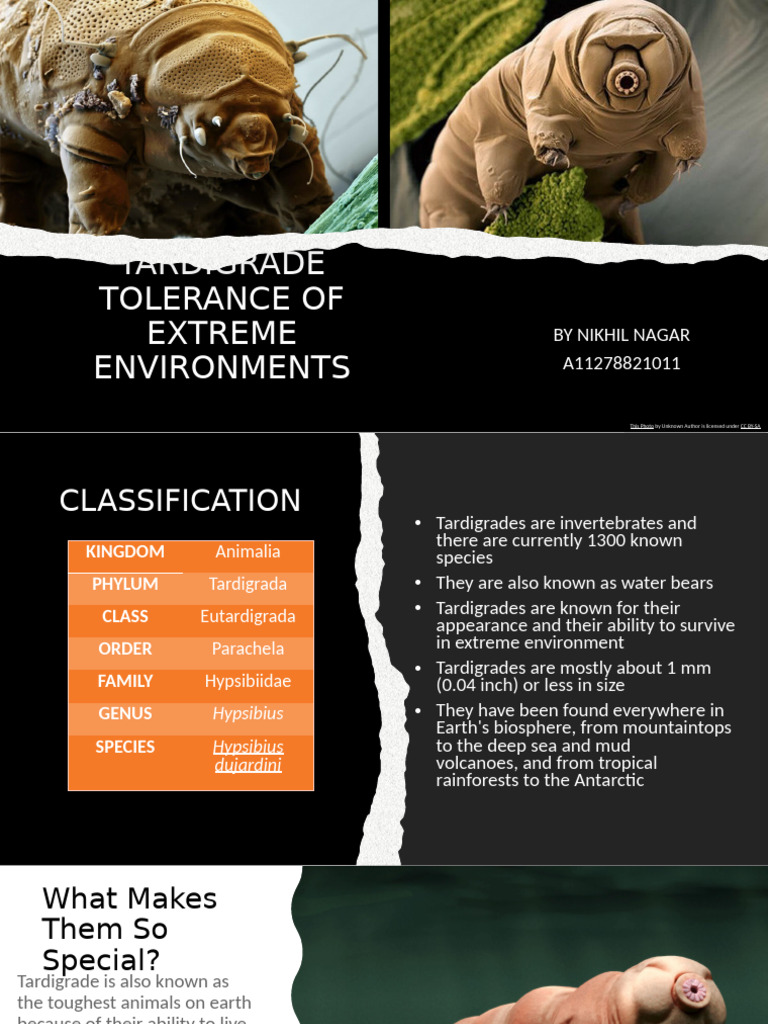 Tardigrade Tolerance of Extreme Environments | PDF | Biology | Nature