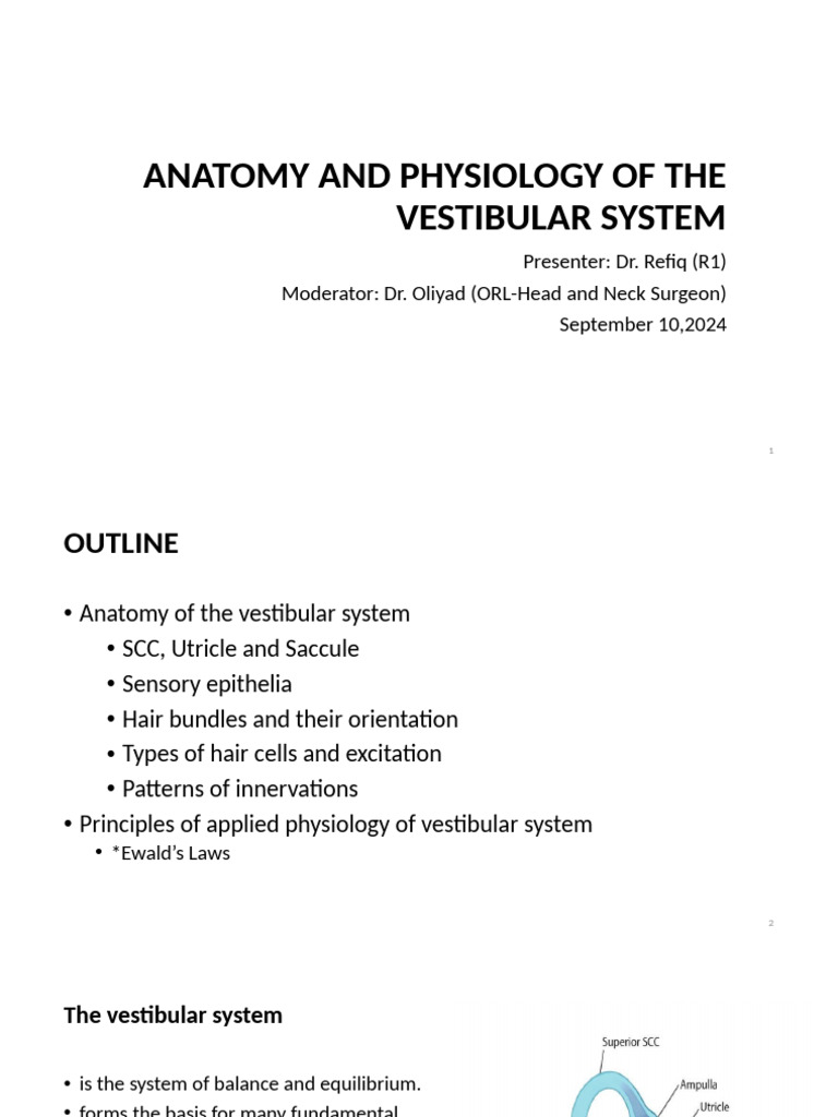 Vestibular System Anatomy & Physiology | PDF | Vestibular System ...