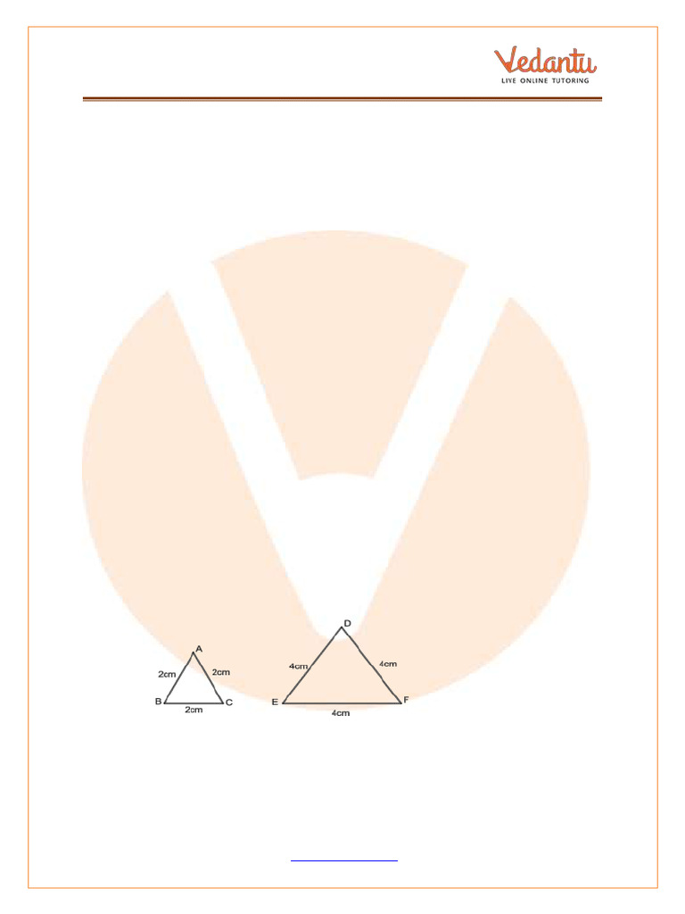 NCERT Solutions For Class 10 Maths Triangles Exercise 6.1 | PDF
