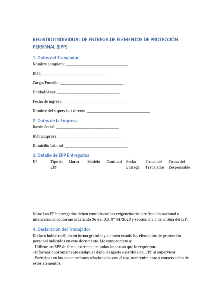 Descargar Registro Individual Entrega EPP | PDF