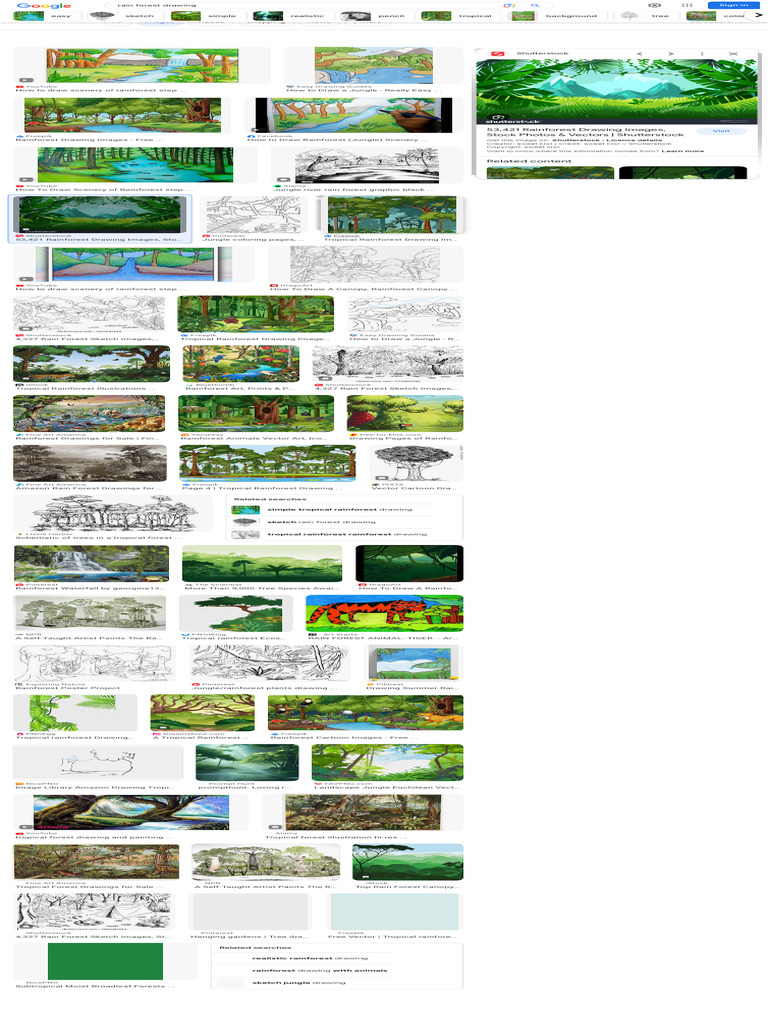 Easy Tropical Rainforest Drawing Guide | PDF | Rainforest | Forests