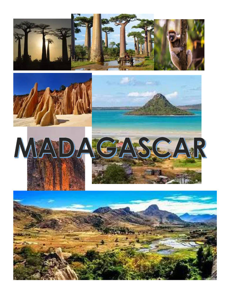 Madagascar para Niños | PDF | Madagascar | Zoología