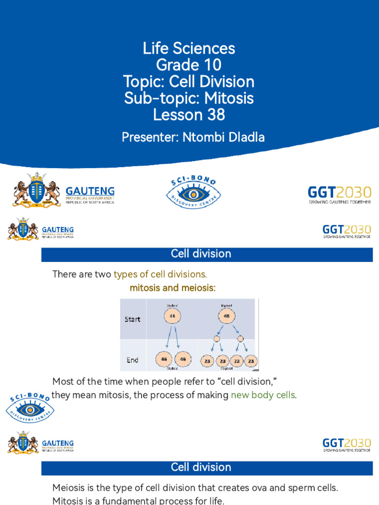 Understanding Mitosis in Cell Division | PDF | Meiosis | Mitosis