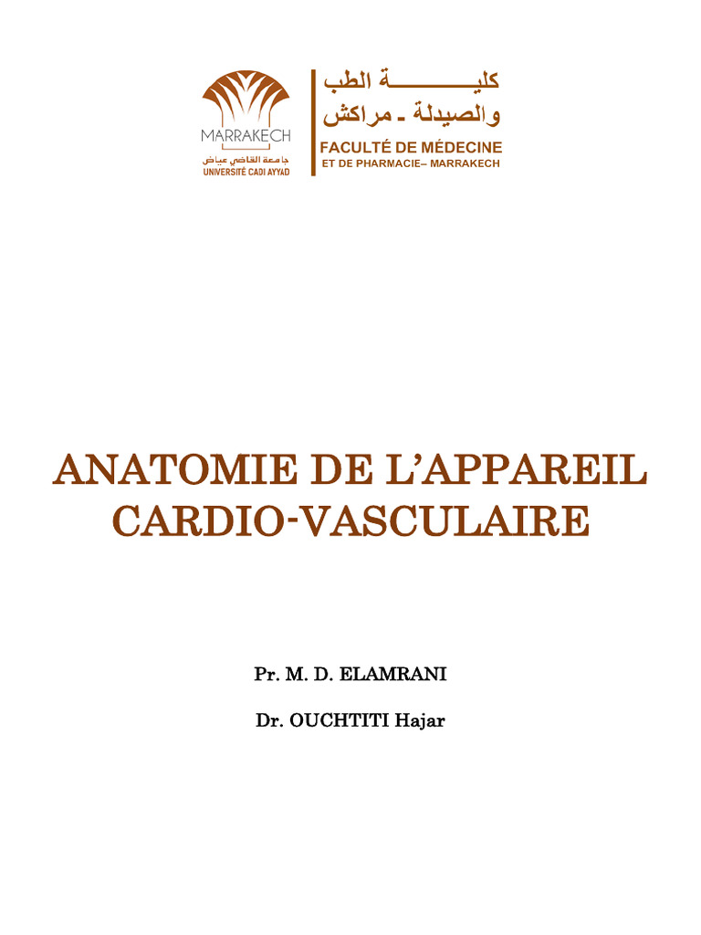 Innervation du cœur : Intrinsèque et extrinsèque | PDF | Atrium ...
