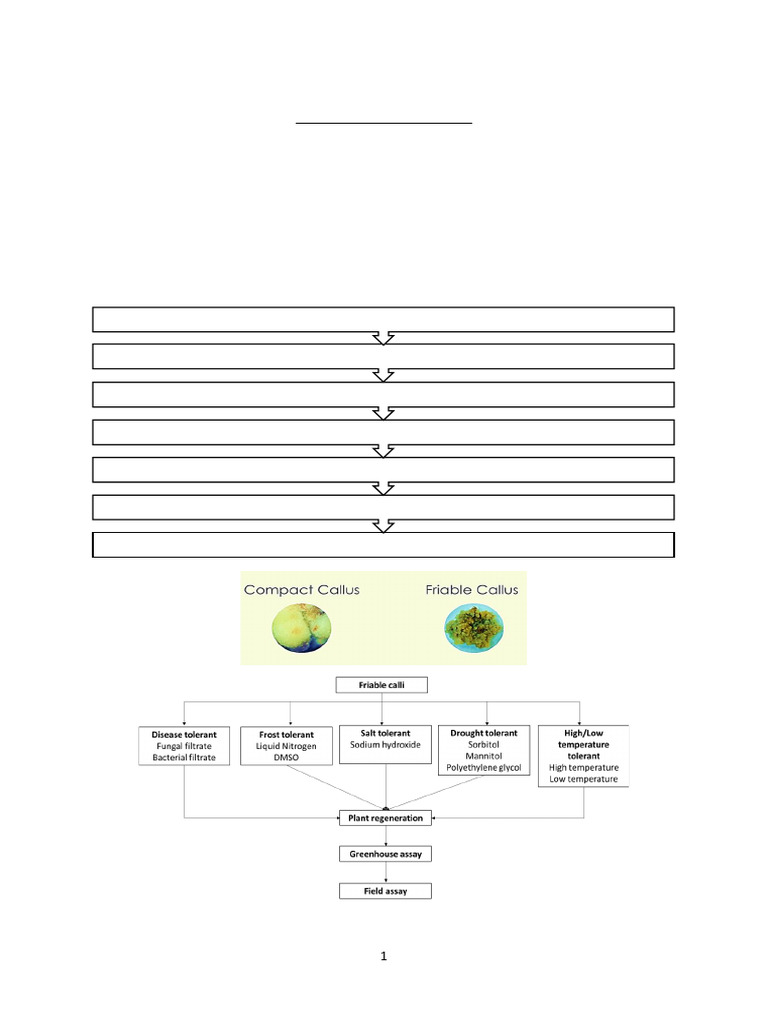 In Vitro Cell Line Collection | PDF | Filtration | Biology