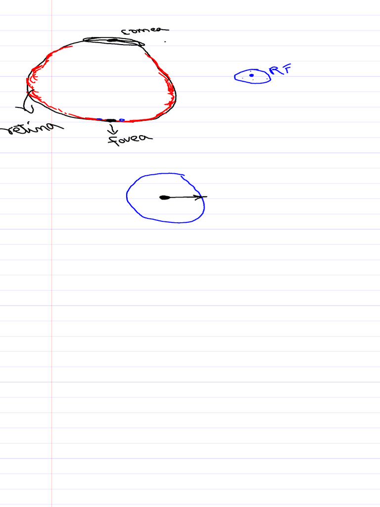 Lecture 05 Notepad | PDF