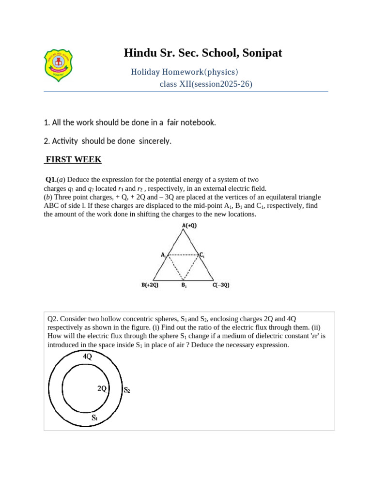 Holiday Homework Physics Class XII 2025-26 PHYSICS CLLASS 12 | PDF | Electric Field | Force