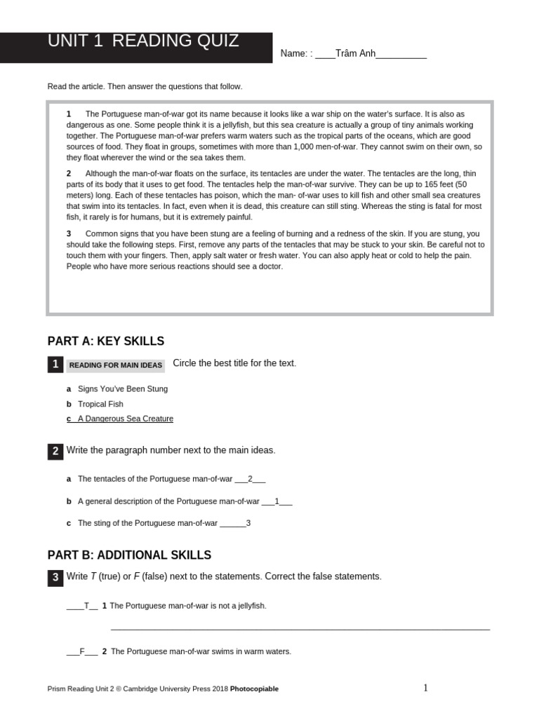 PR_TM_L2_Unit Quizzes - U1 (1) | PDF | Sharks