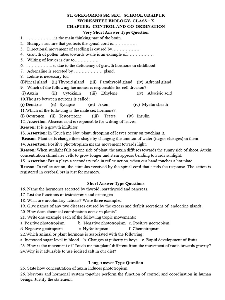 Class X Biology Worksheet: Control & Coordination | PDF | Hormone | Anatomy