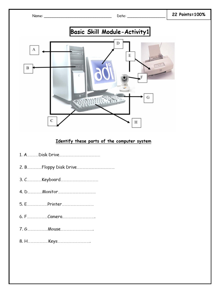Basic Skills Activity 1 | PDF