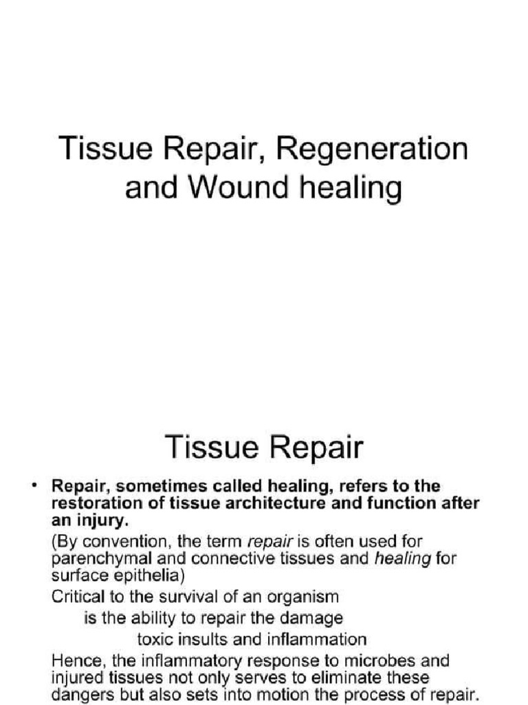 Repair | PDF