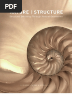 Mega Frame Structural System | PDF | Beam (Structure) | Column