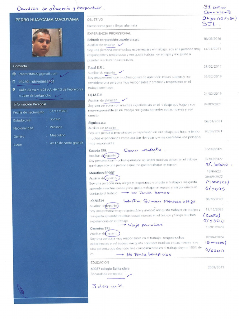 CV Pedro | PDF