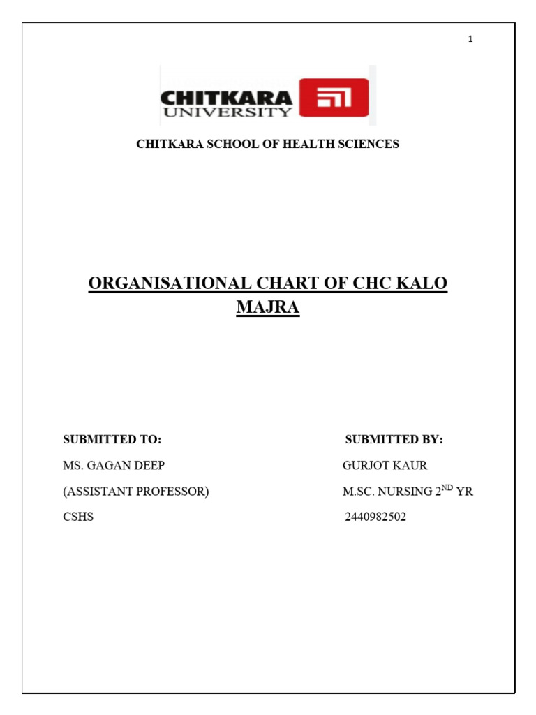 Organisational Structure Gurjot | PDF | Radiology | Medical Diagnosis