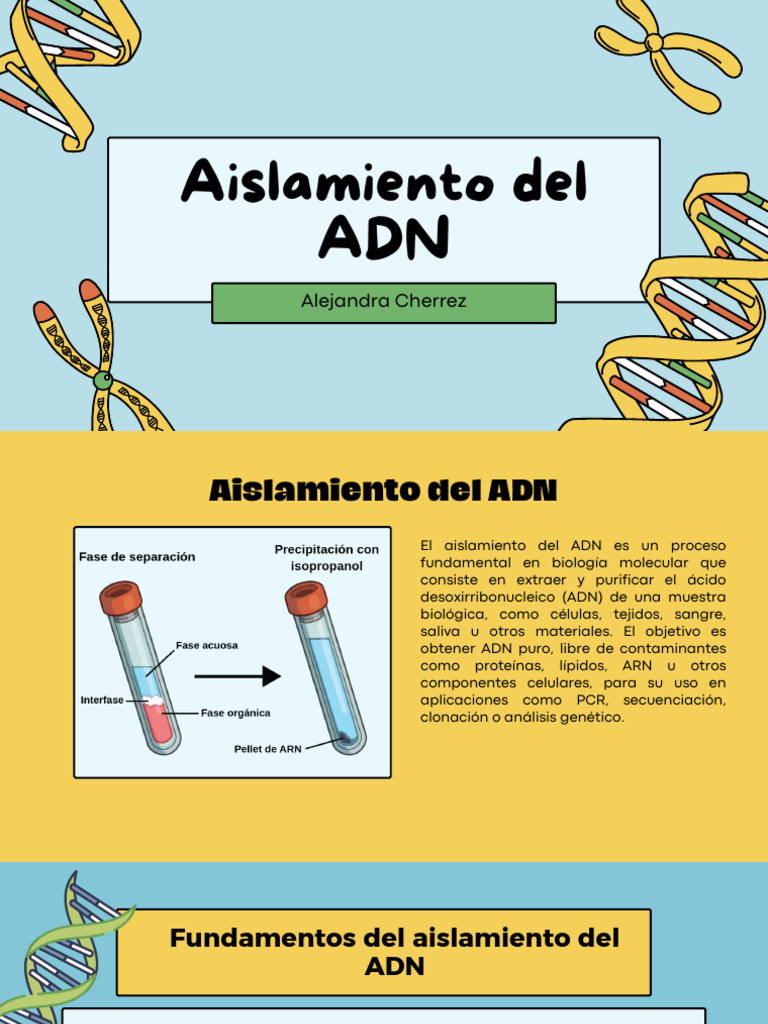 Structure of DNA Science Presentation in Light Blue Green Lined Style ...