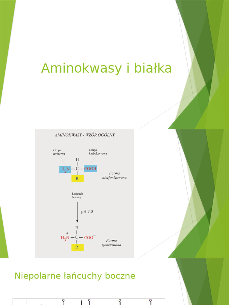 Aminokwasy I Białka Budowa | PDF