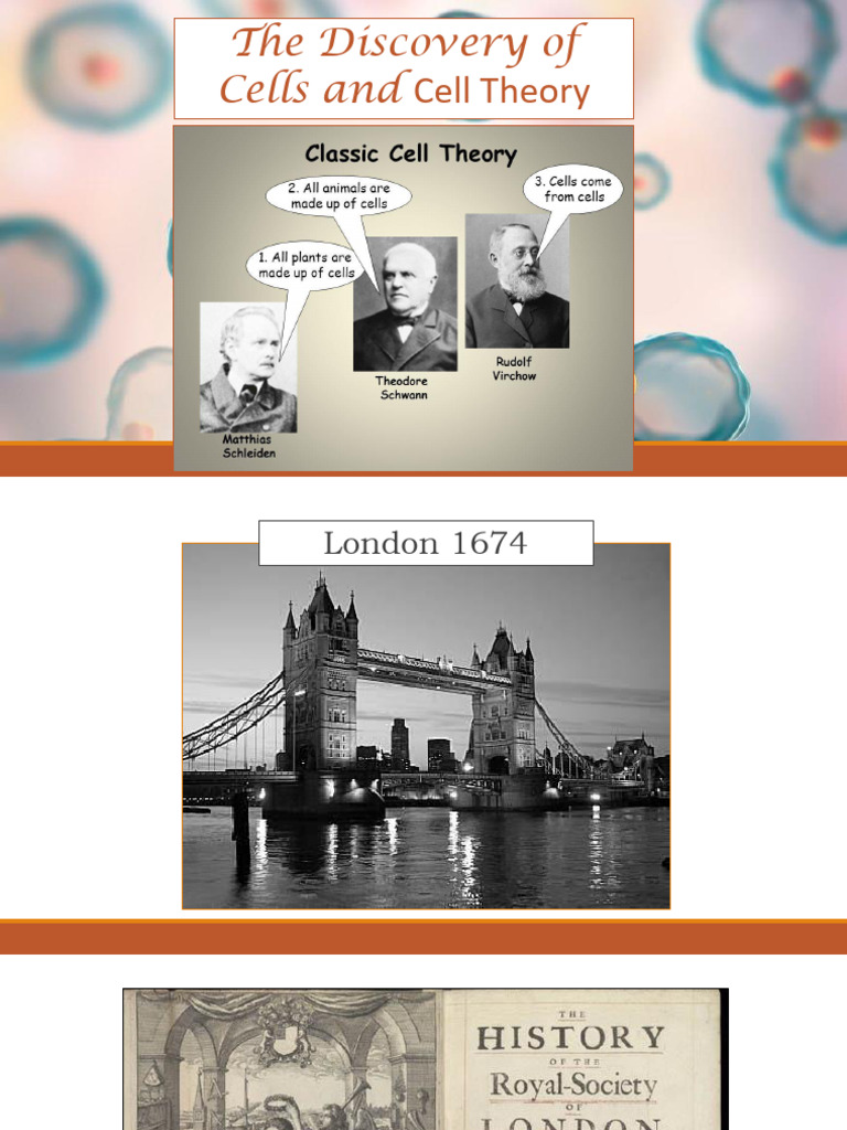 Evolution of Cell Theory Timeline | PDF | Louis Pasteur | Life Sciences