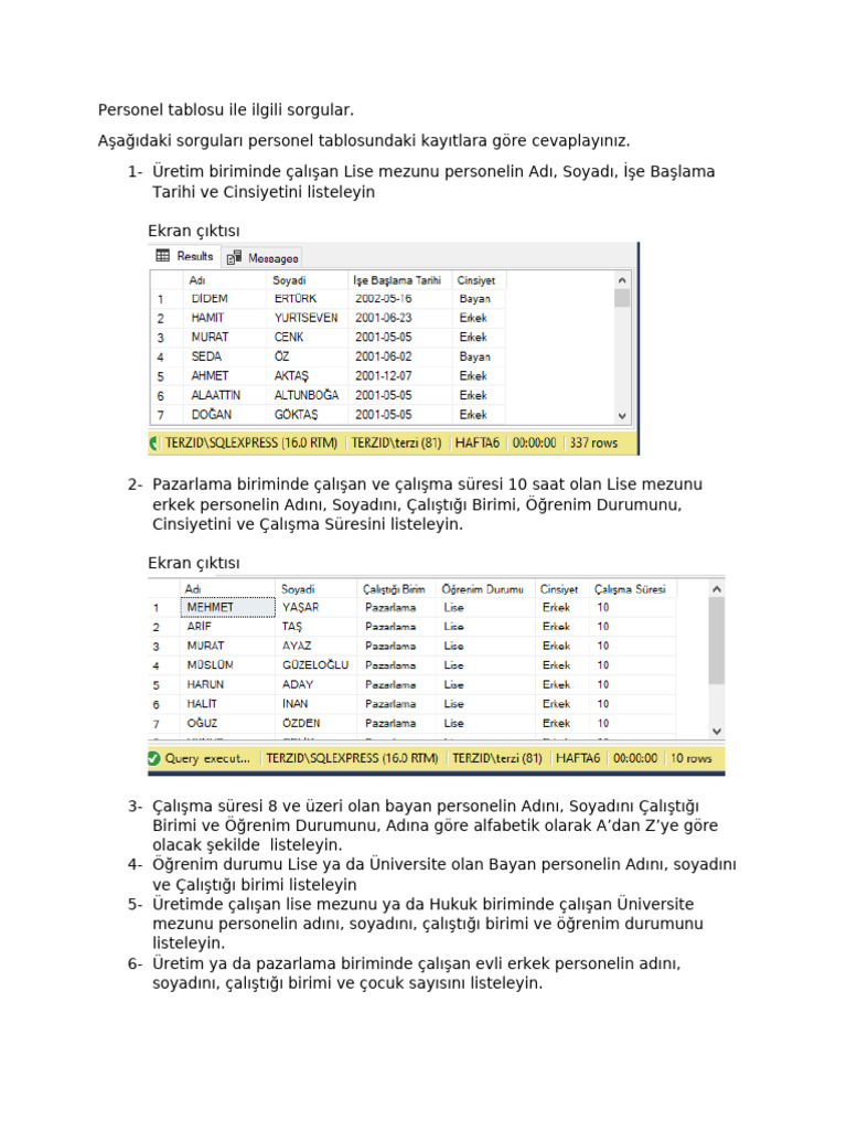 Ornek Sorgular V2 1 | PDF