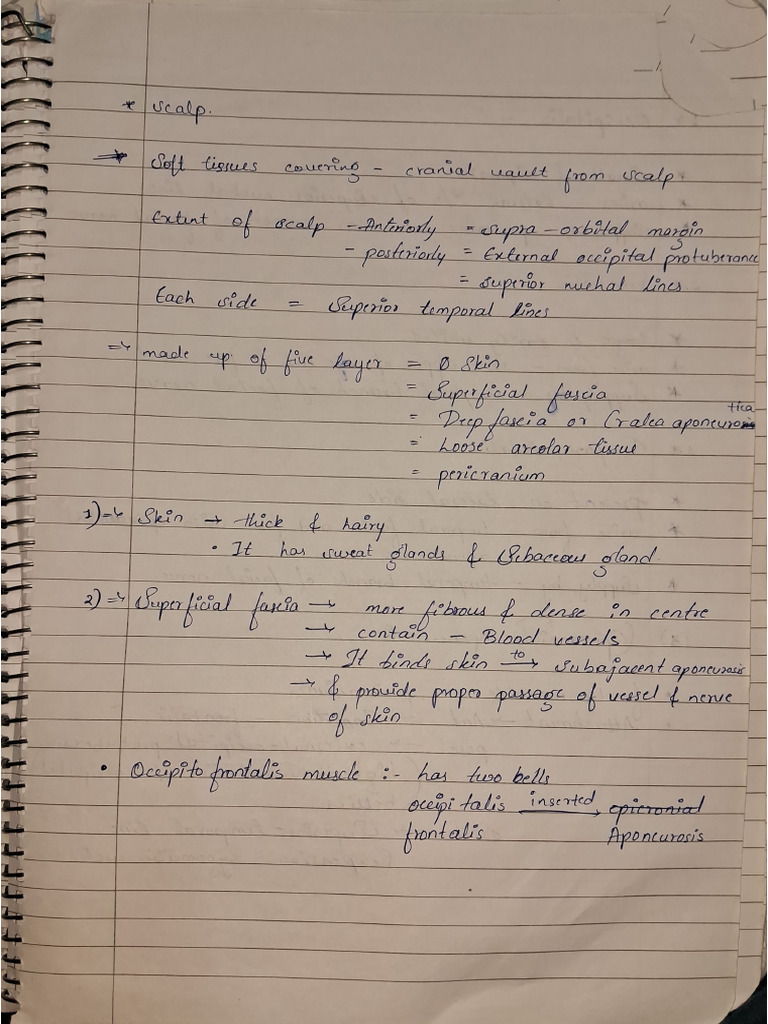 Scalp | PDF