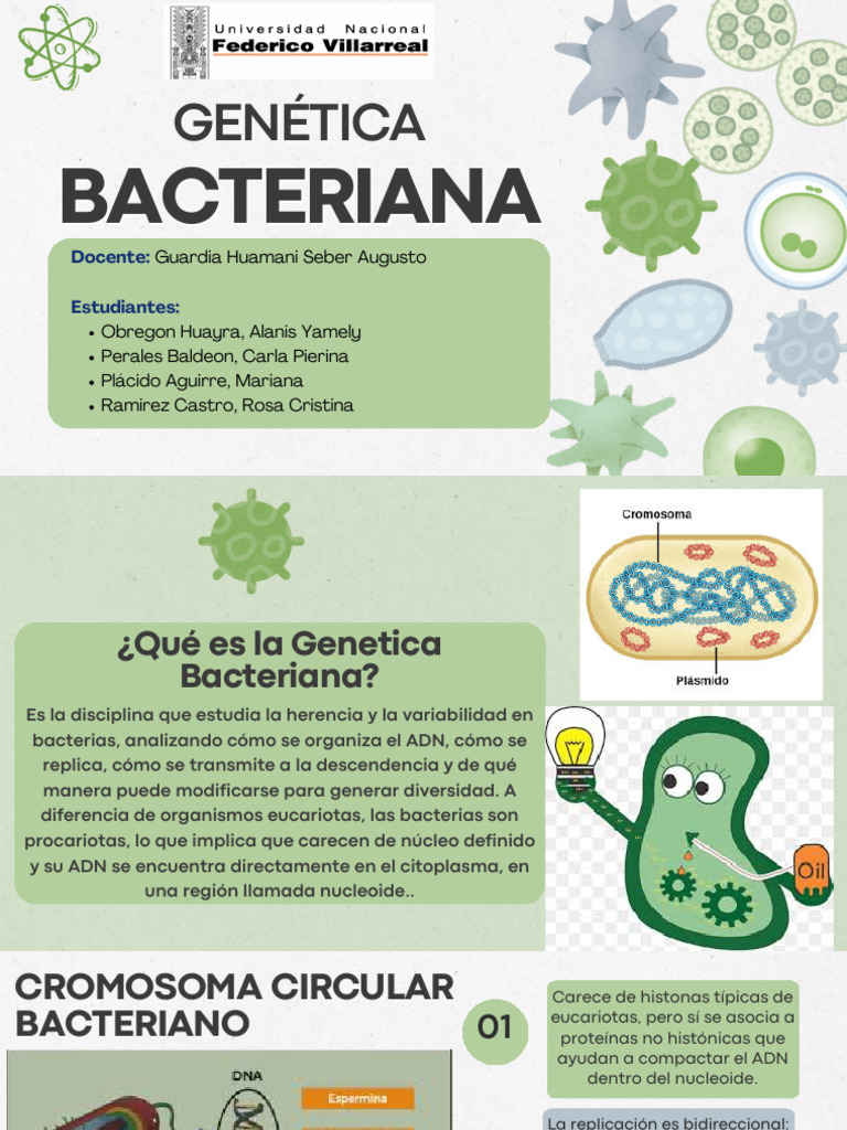 Genética Bacteriana: Herencia y Variabilidad | PDF | Plásmido | Las ...