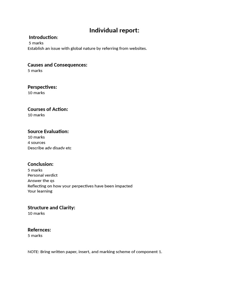 Individual Report Structure Guide | PDF