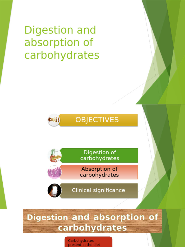 Digestion of Carbohydrates | PDF | Digestion | Carbohydrates