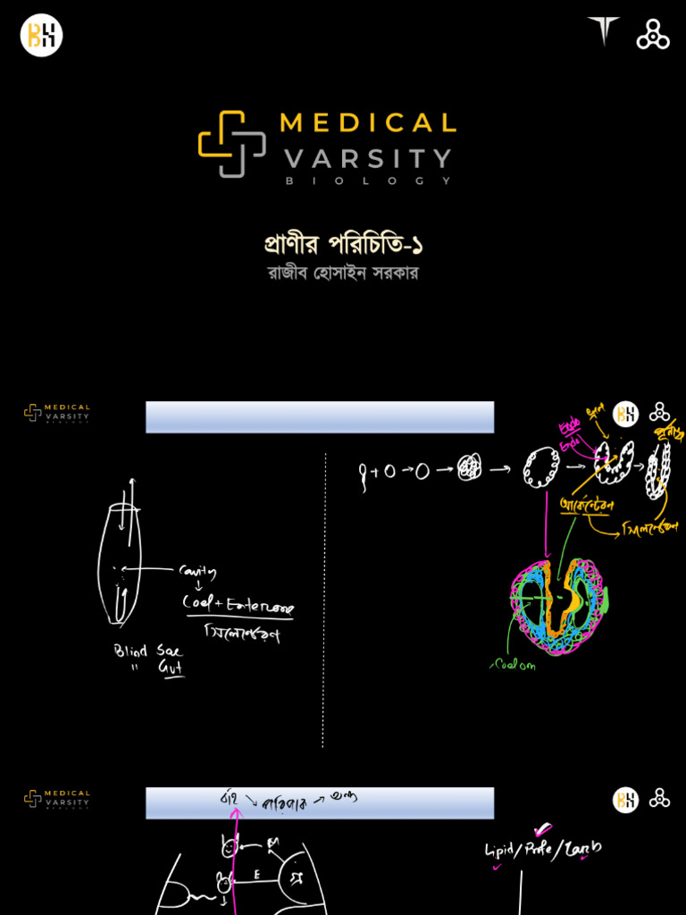 Lecture Animal Identity 1 2fd3a8c1 1ea9 433a 941b 1fec43f9dbb3 | PDF