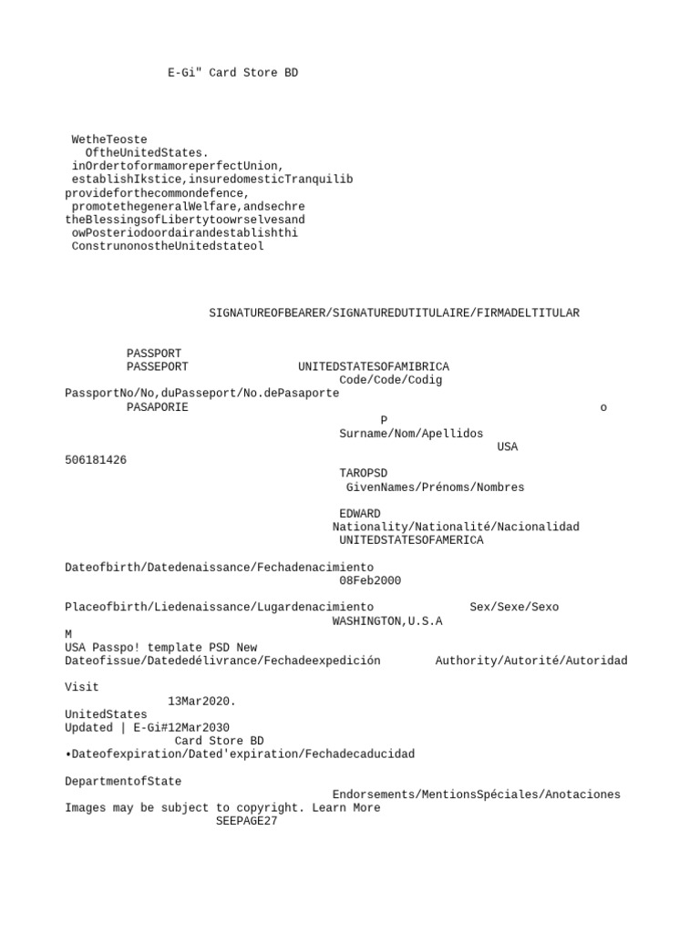 US Passport Template Example | PDF | Government And Personhood ...