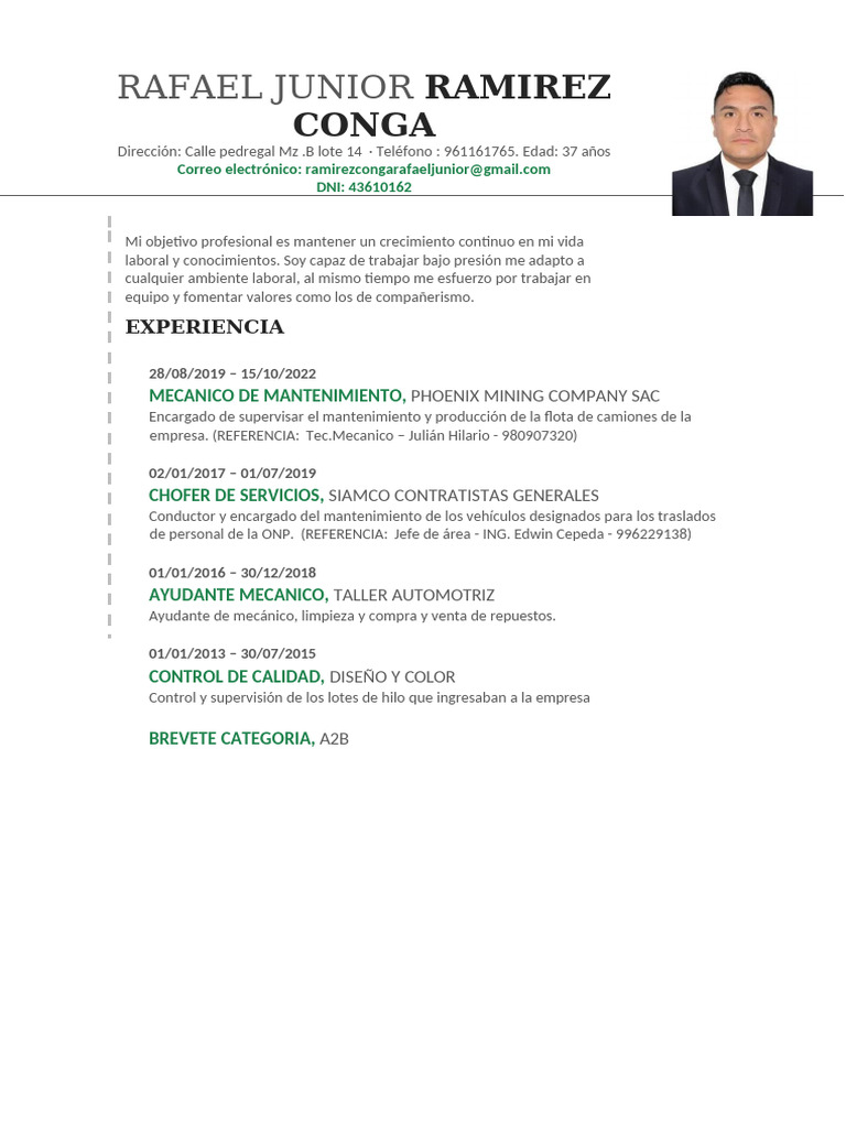 Currículum Ramirez Conga Rafael | PDF