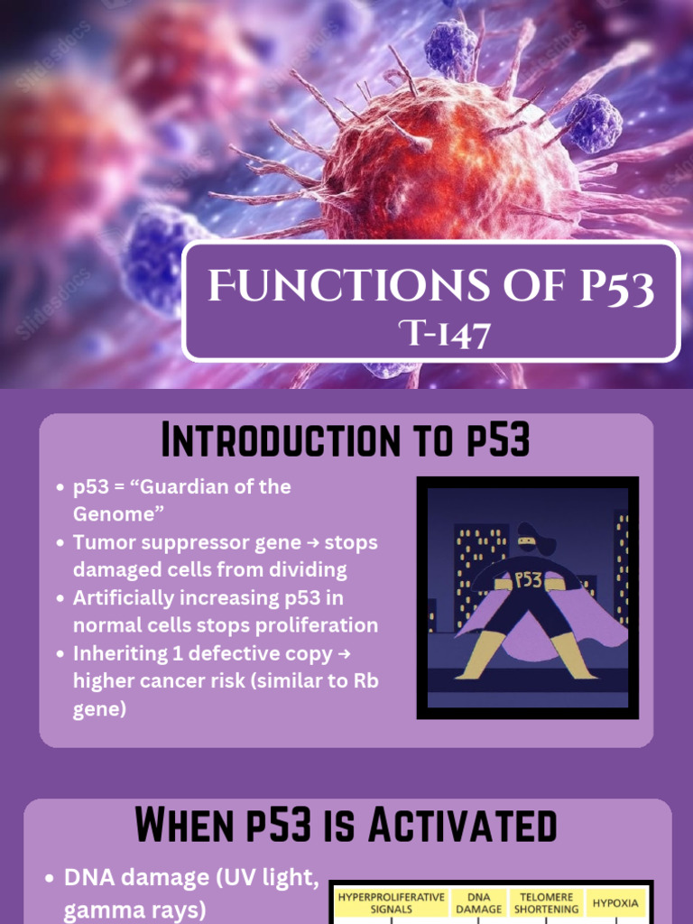Functions and Importance of p53 Gene | PDF