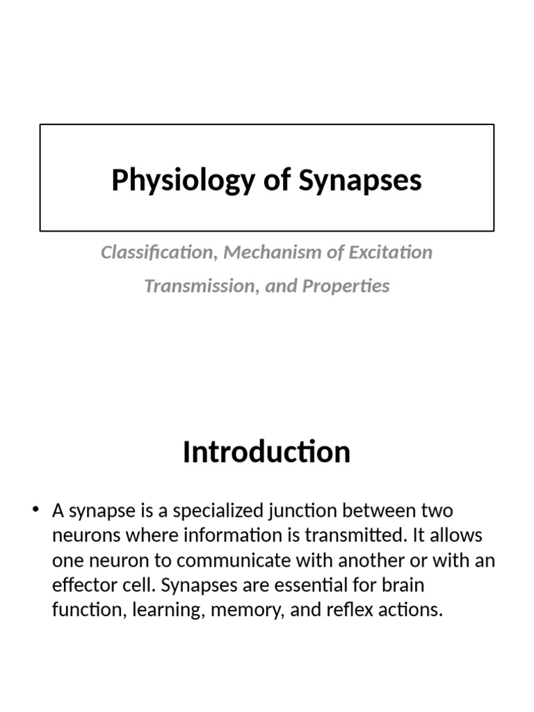 Physiology of Synapses Presentation | PDF | Synapse | Chemical Synapse